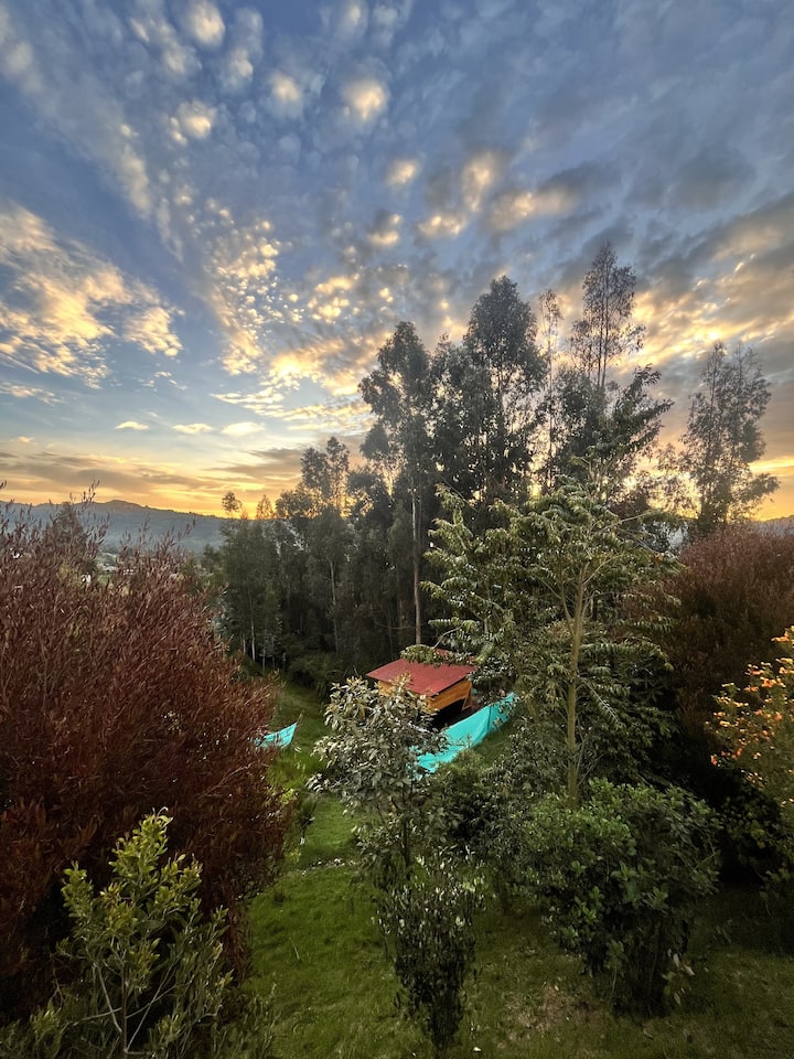 Treehouse Cabin, Tv, Wifi, Restaurant, Parking - Tabio