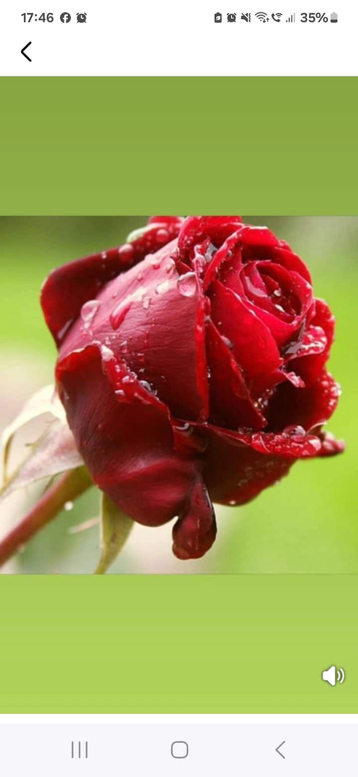 Casa De Familia Samil - Vigo