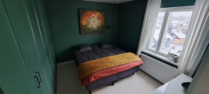 Kodikas Kaupunkikoti Hyvällä Sijainnilla - Lappeenranta