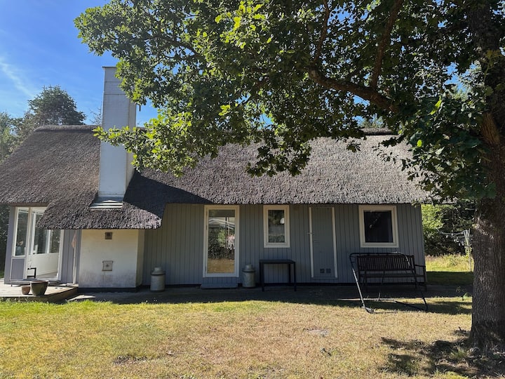 Thatched Cottage With Conservatory, 600m To Beach - Denmark