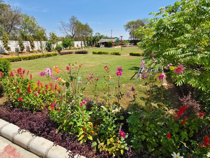 Guru Farm - Picnic, Party In Nature's Lap - 칸푸르