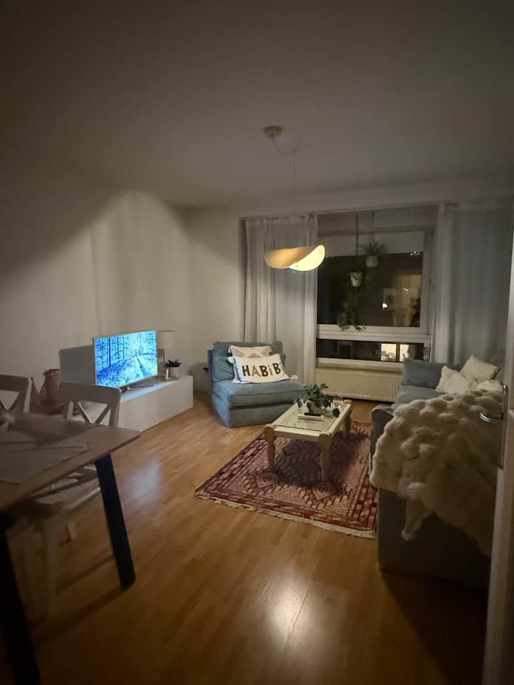 Wohnung Zur Fastnacht In Mainz – Zentrale Lage - Mainz