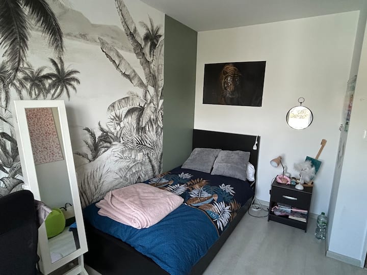 Maison Avec Piscine Saintes - サント