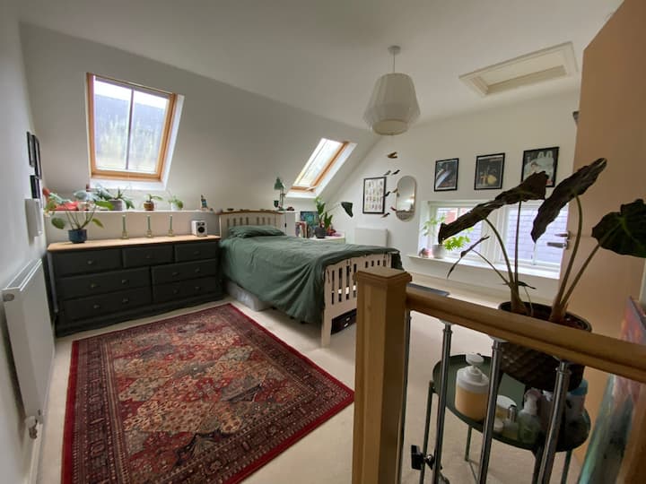 Central Exeter Living - Exeter