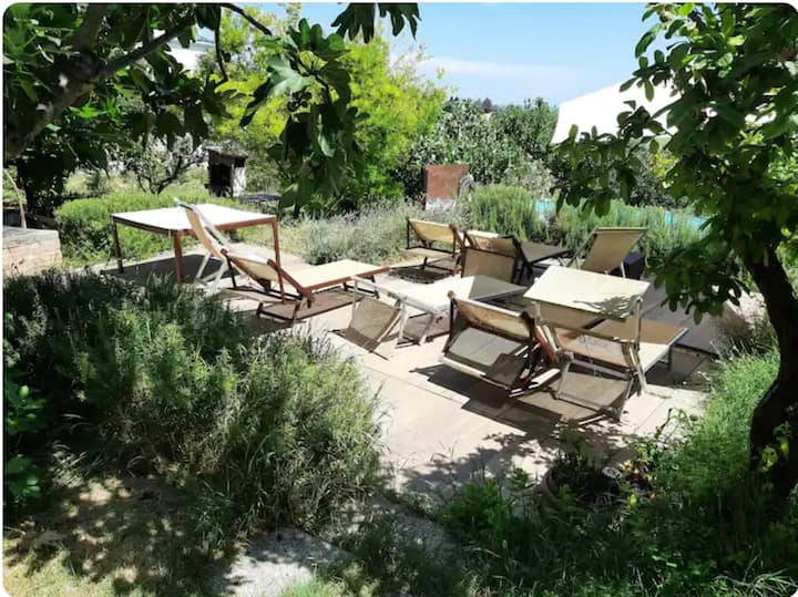 Casa La Viola - Misano Adriatico