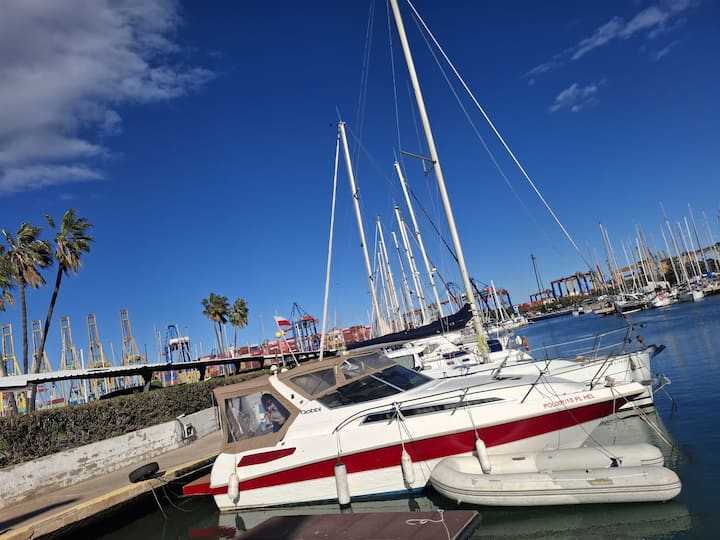Happy Family - Valencia