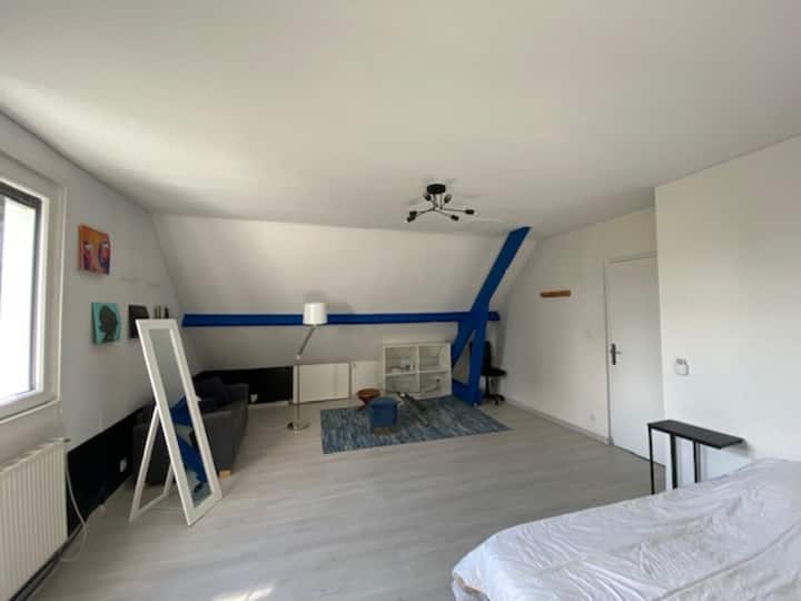 Grande Chambre Dans Maison Familiale - Mont-Saint-Aignan