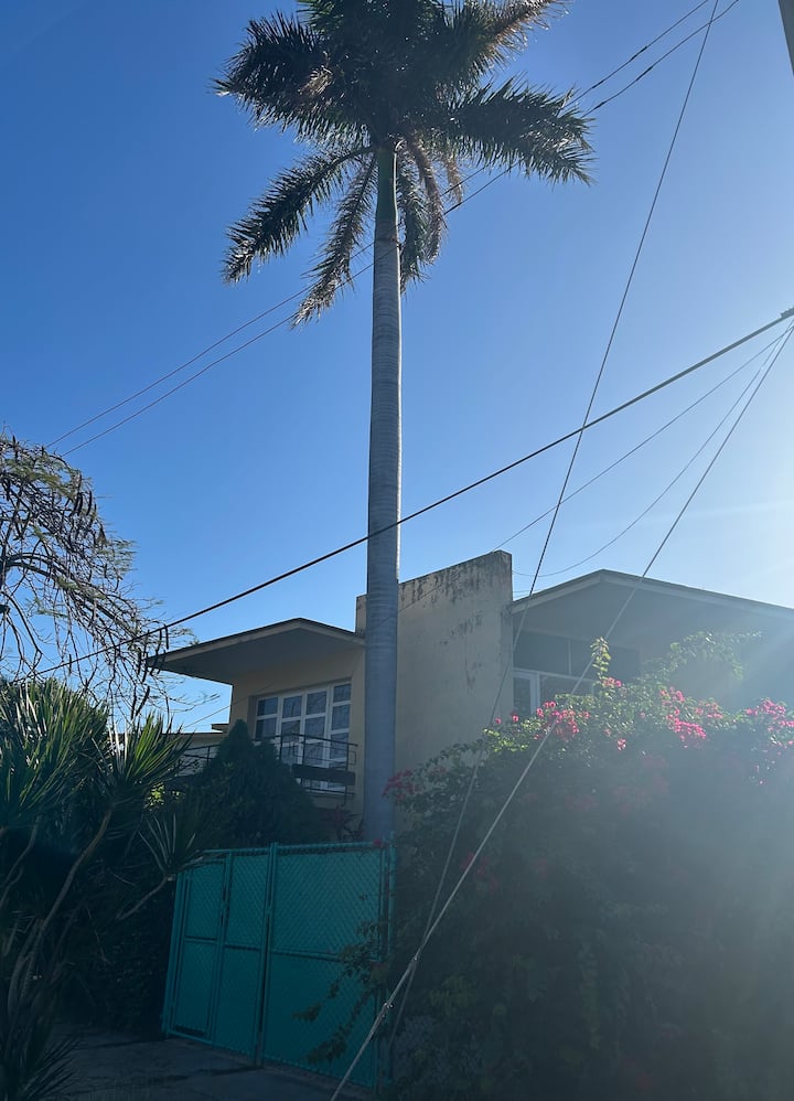 La Casa De La Palma 2 - Havana
