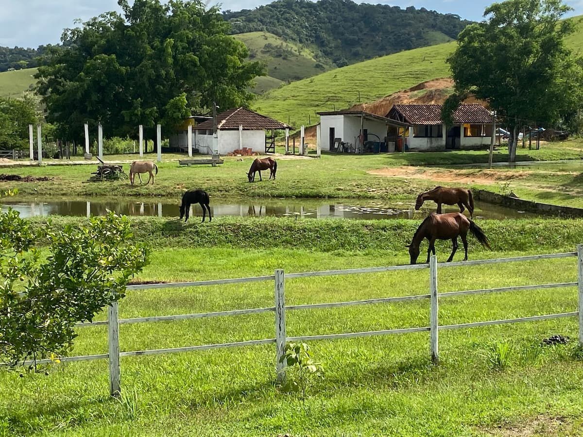 Sitio con piscina ideal para descansar - Ranches en renta en Cachoeiras ...