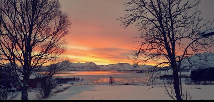 Unik Loftsleilighet I Vakker Nordisk Natur - Norway