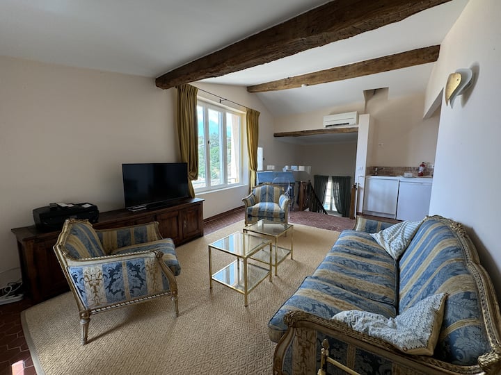 Maison De Village 17ème Et Patio - アプト