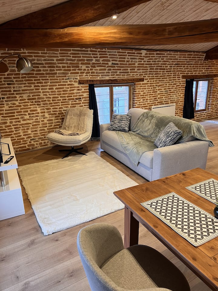 Bel Appartement Centre Montauban - Montauban