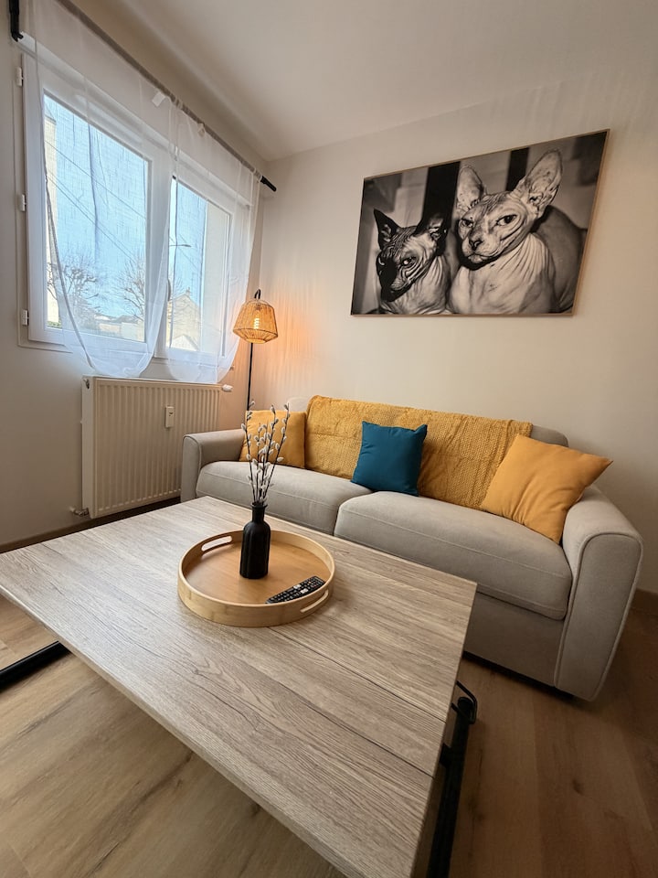 Appartement Cosy Au Cœur Du Mans - Le Mans
