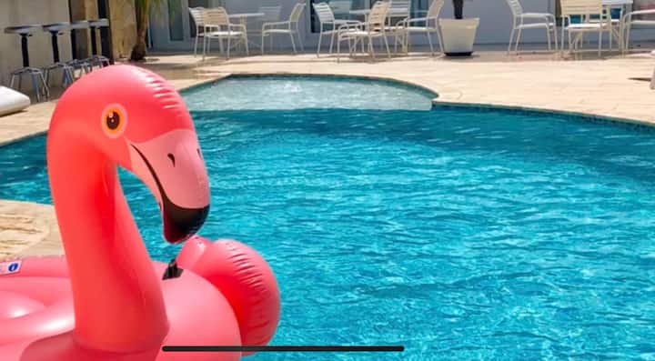 Aruba Little Studio - Aruba