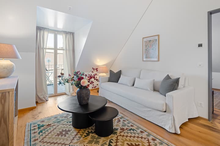 Bliv: Mansarde De Luxe En Plein Centre - Saint-Gall