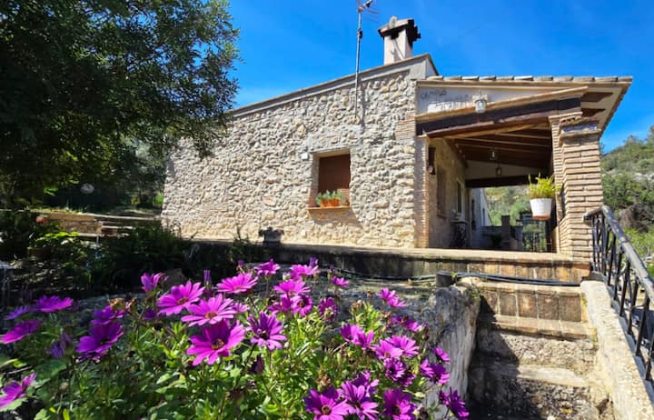 Campus El Abuelo - Dénia