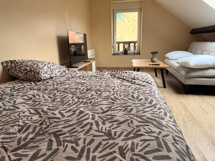 Grand Studio Détente Spa/jacuzzi - Belfort