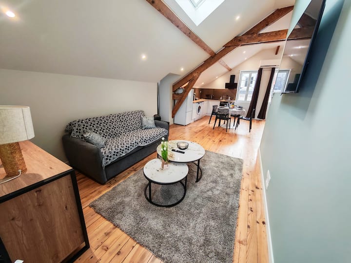 L’ecrin Lourdais - 1km Du Sanctuaire - - Lourdes