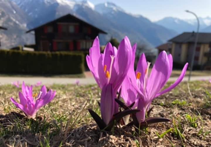 Haus Maria - Bürchen