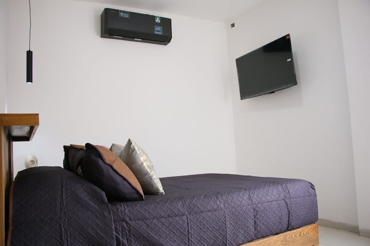 Loft Nuevo En Zona Centro Aguascalientes - Loft 9 - Aguascalientes