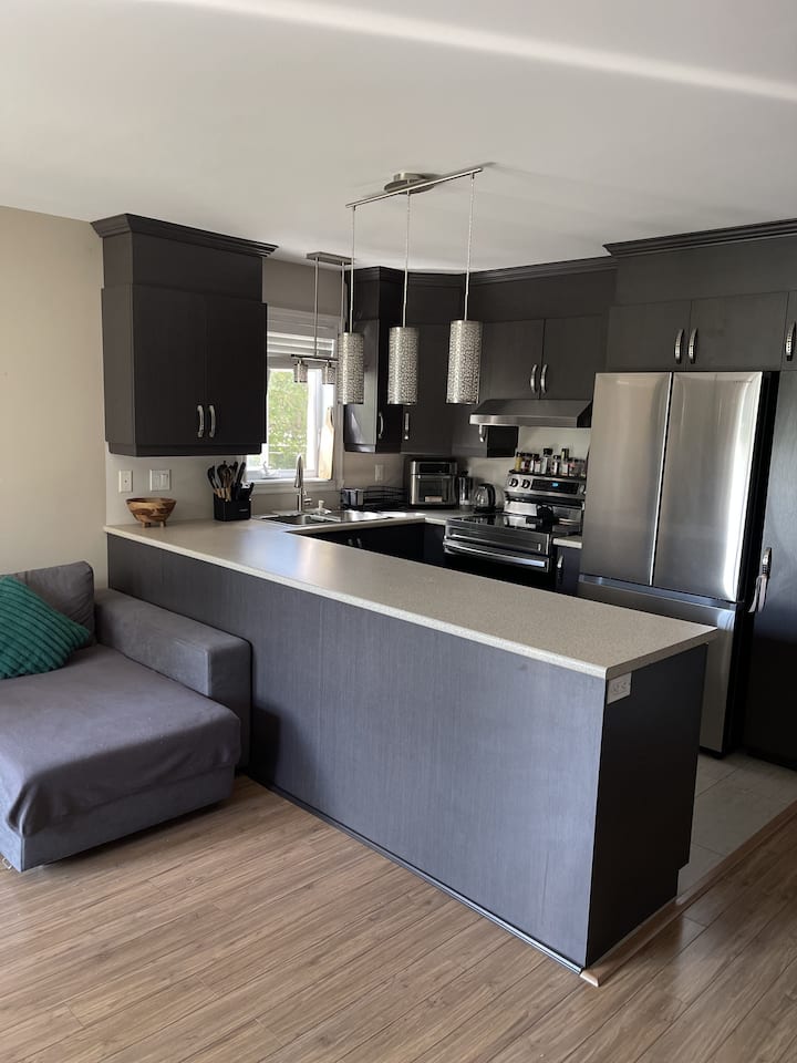 Modern & Cozy 1-bdr Condo Close To Montreal - Longueuil