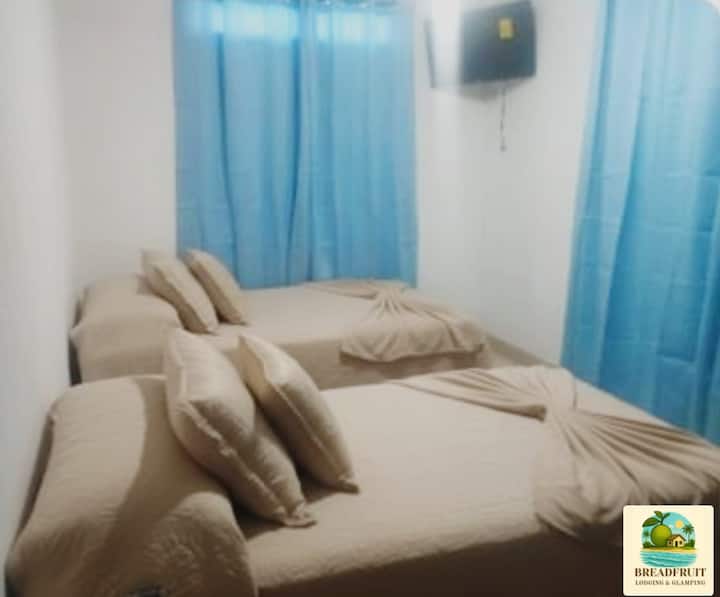 Apartamento Bread Fruit De 2 Habitaciones. - San Andrés