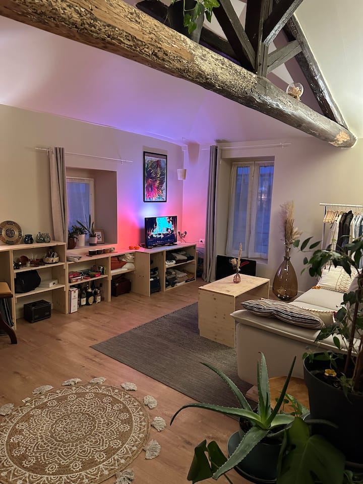 Proche Clermont : Charmant Studio à Chamalières - Chamalières