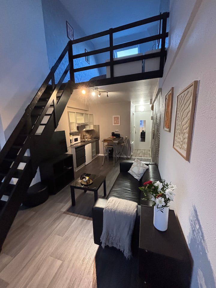 Duplex Lumineux & Calme Au Cœur Du Vieux Lille - Lille