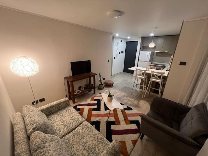 Dpto. Cómodo Y Céntrico Con Estacionamiento - Concepción, Chile