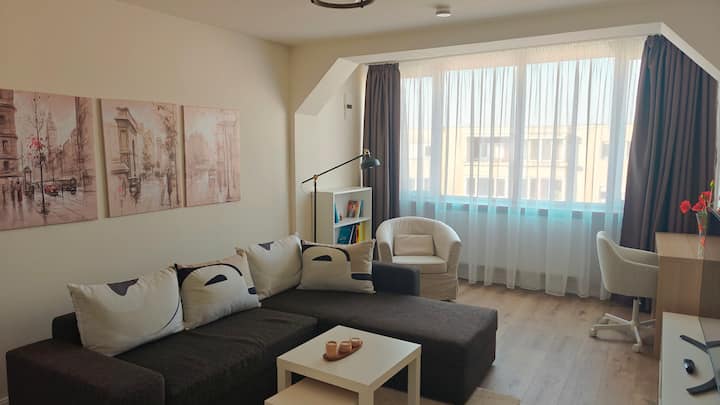 Entire Rental Unit Near City Center In Timișoara - Timișoara