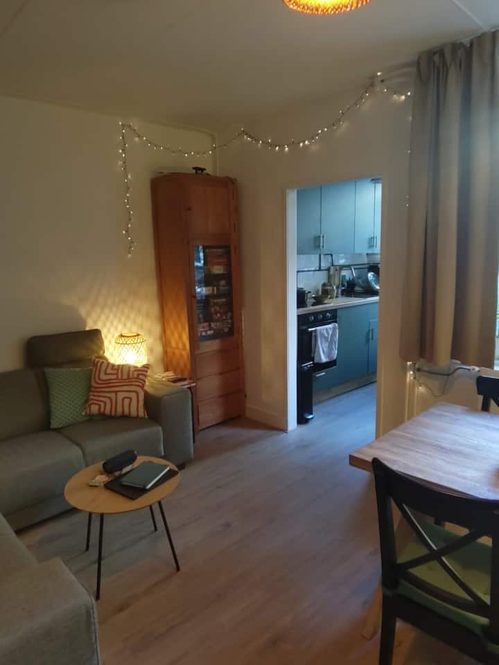 Appartement In Amsterdam - Zaandam