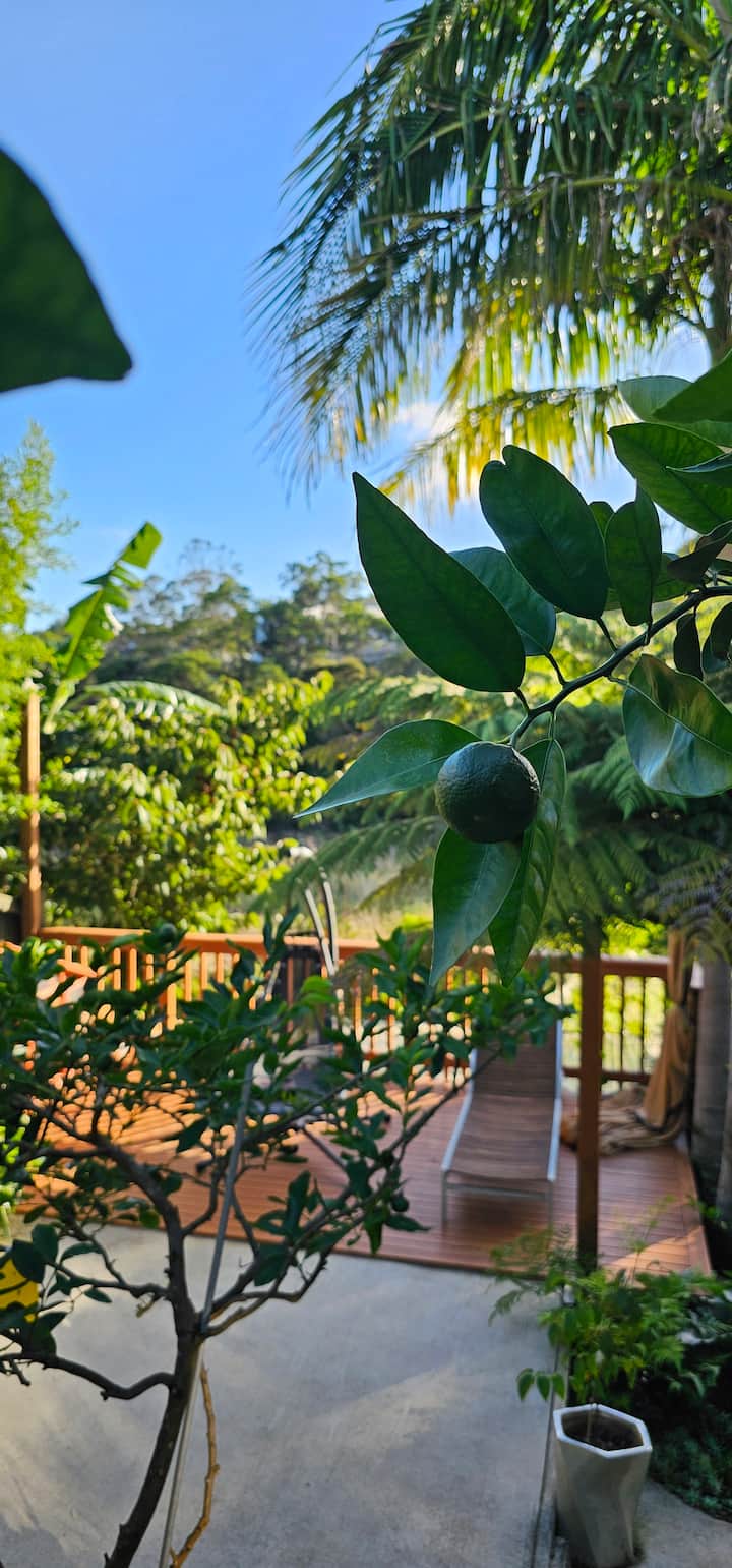 Garden Suite - Auckland