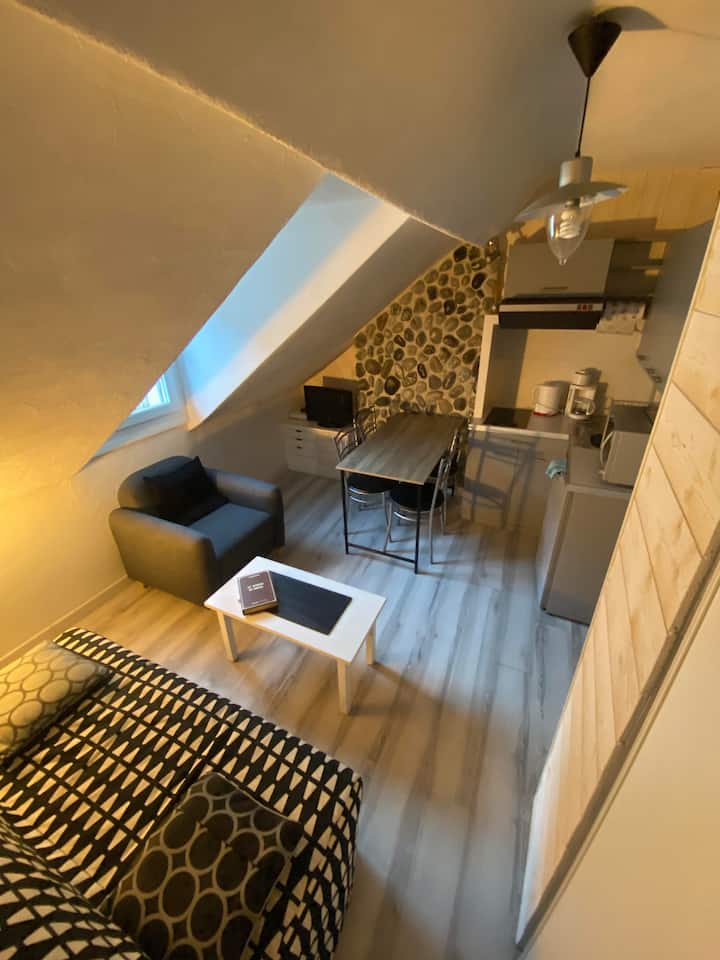 Appartement 3/4 Personnes Plein Centre-ville - Cauterets