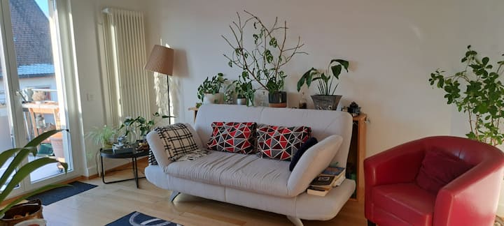 Quiet 2-room Apartment Near Rhine Falls & City - Schaffhausen