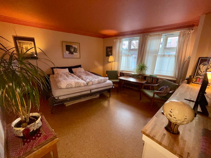 Large Comfortable Room - Bergen