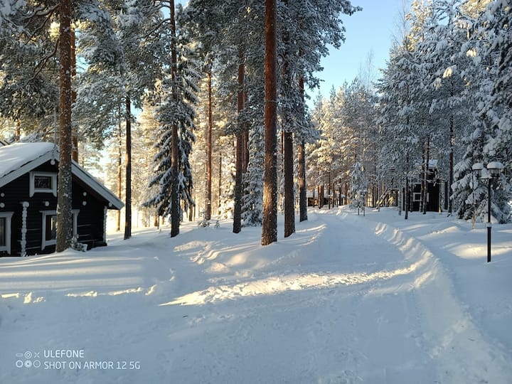 Peaceful Log Cabin On The Lakefront - Rautalampi