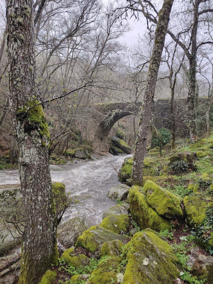 Casa Buppa - La Alberca
