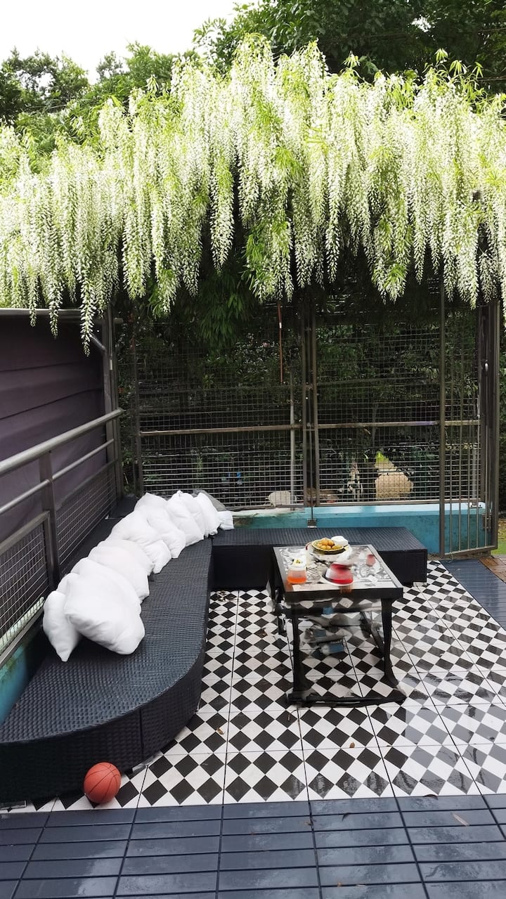 Grand Appartement Avec Jardin Au Centre De Genève - Geneva