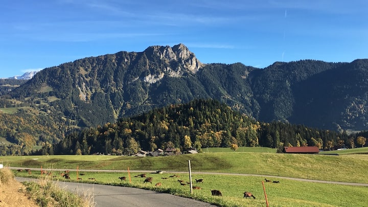 Bienvenue Dans Votre Cocon Douillet à Leysin. - Leysin