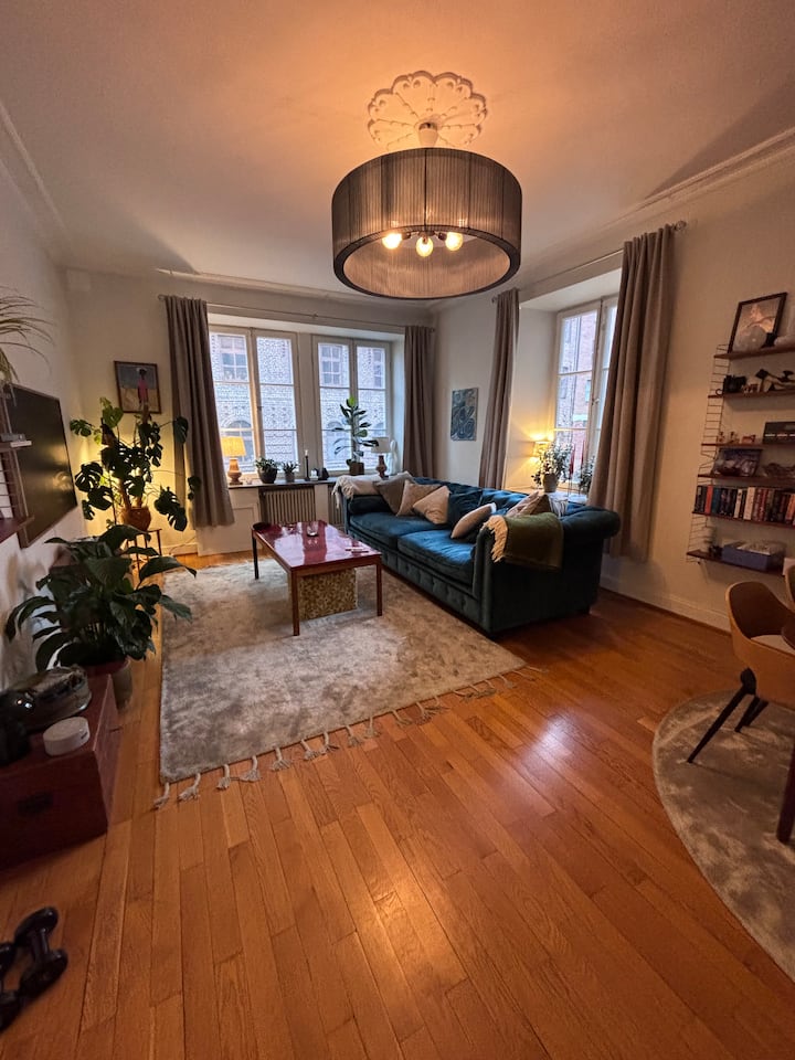 Central Spacious Flat Close To Everything. - Gothenburg
