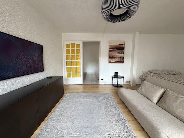 G11 Spacieux Appartement Center Close Geneva - Annemasse