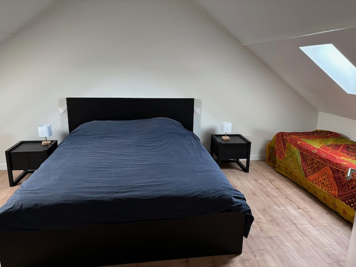 Appartement 2 Pièces Rénové à Strasbourg Neudorf - Strasbourg