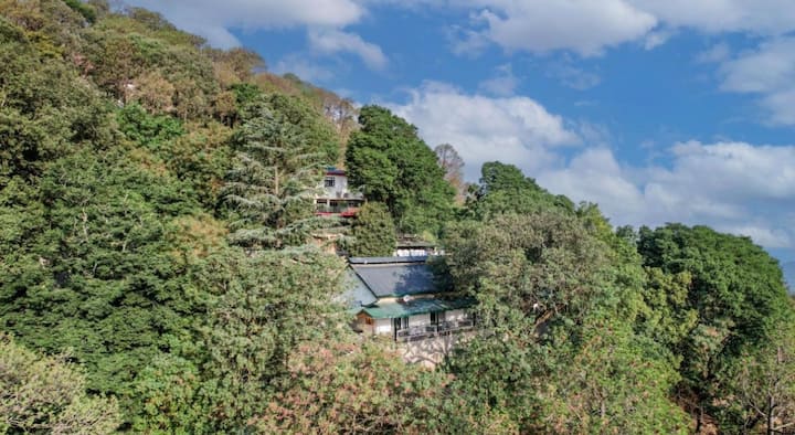 The Row House - Kasauli