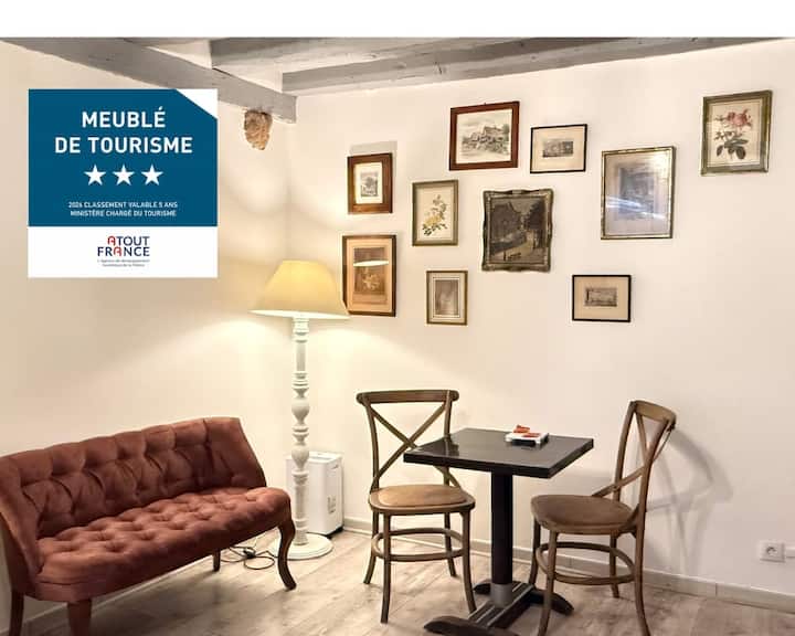 Studio Logis De Lhermine - Centre Historique 2* - Blois