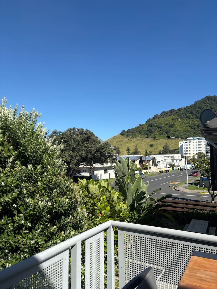 Stylish, Centrally Located With Great Mount View. - Mount Maunganui