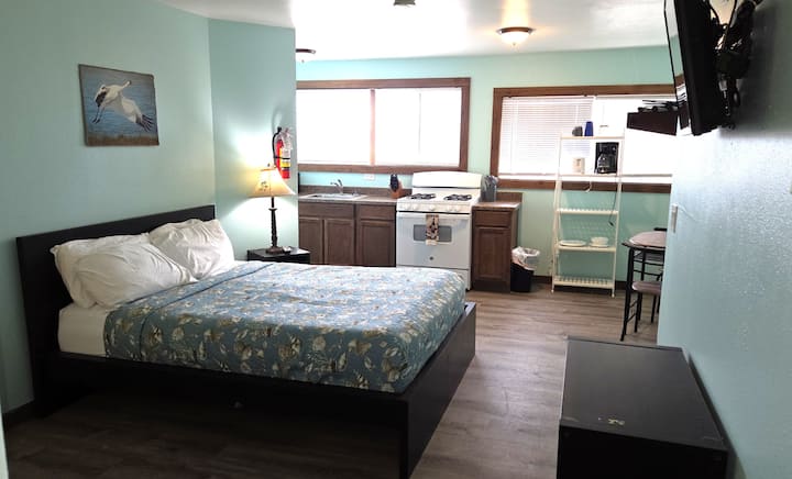 Bsi110, 2 Adults/2 Kids, Ocean View, Pool, Dogs Ok - Port Aransas, TX