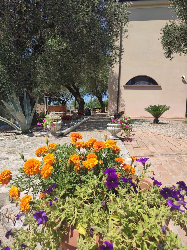 Oasi Petrus Cilento Rooms La Tua Stanza A Camerota - San Giovanni a Piro