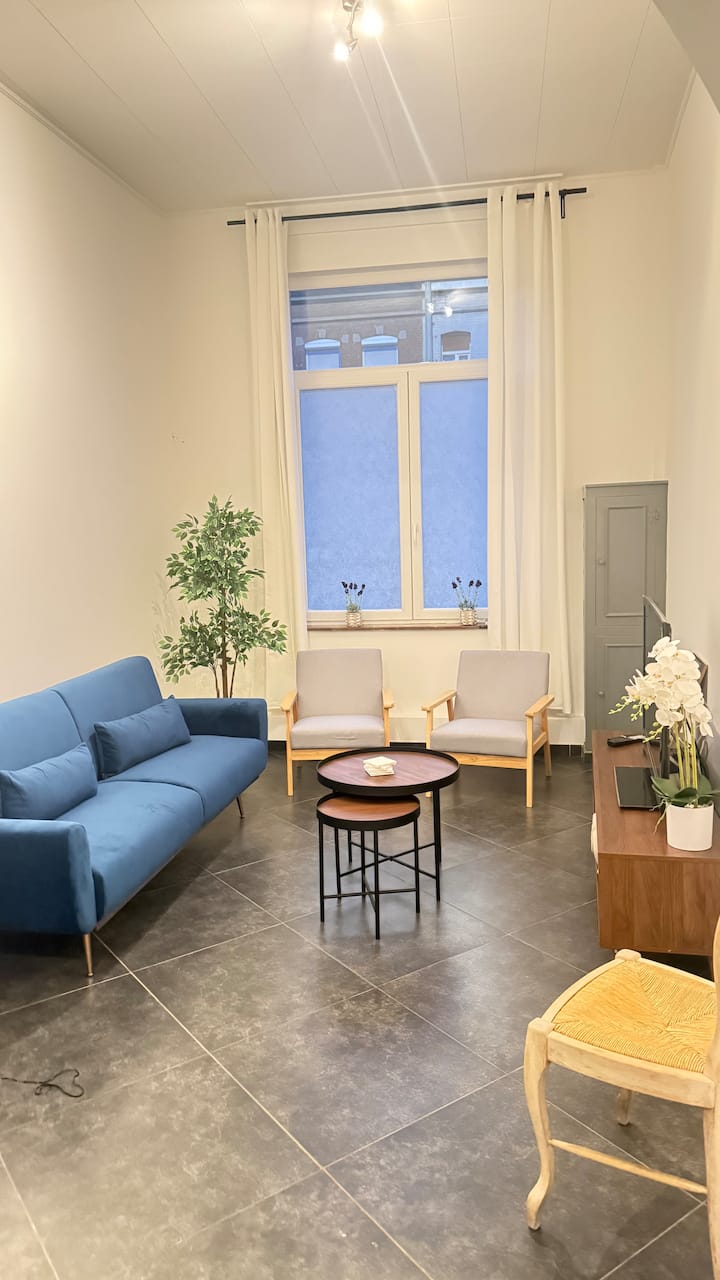 Maison Accueillante Et Lumineuse Sur Tournai. - Tournai