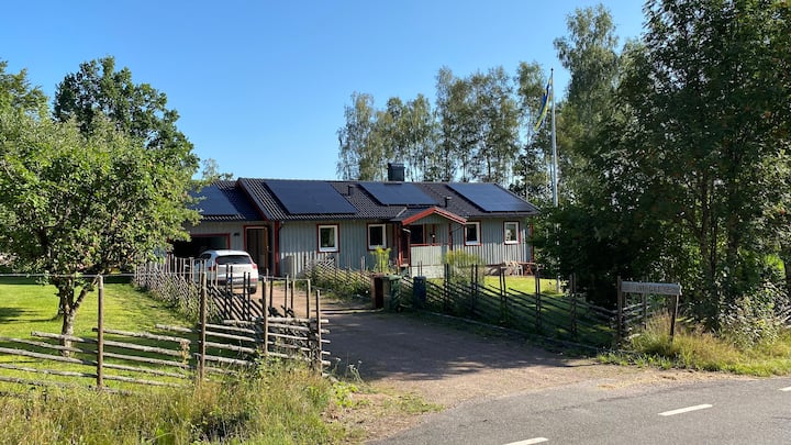 Mitt I Skogen - Smålandsstenar