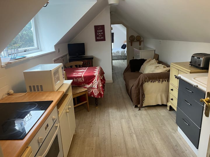 The Annexe : Delightful, Spacious One-bedroom Flat - Basingstoke